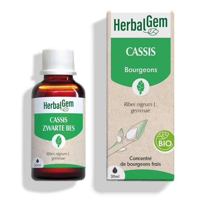 Herbalgem Macérat Concentré Cassis Bio 30ml - Cdiscount Santé - Mieux vivre