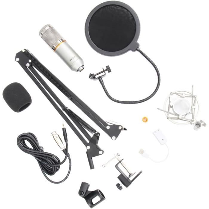 Microphone À Condensateur Pro Microphone Microphone Professionnel Kit ...