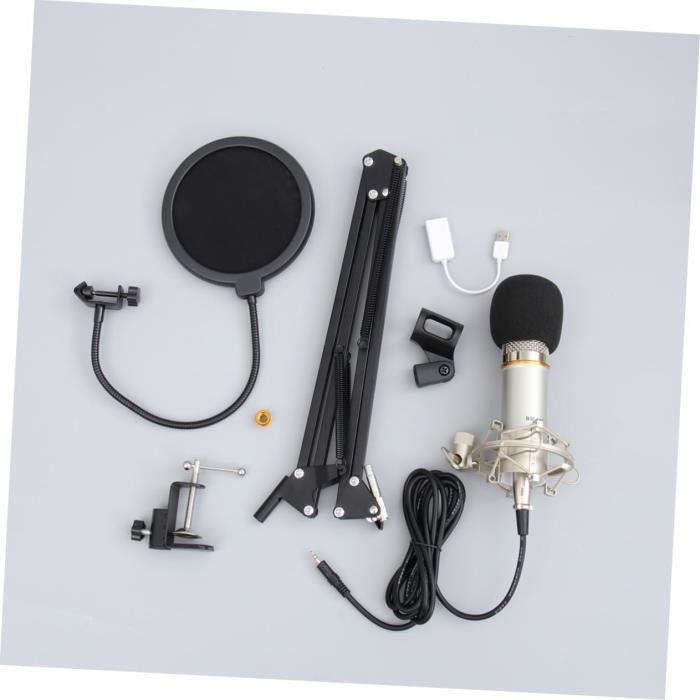 Microphone À Condensateur Pro Microphone Microphone Professionnel Kit ...