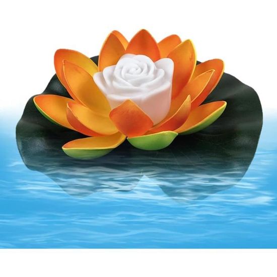 Bassin Lotus Flottant | 1-5 Pièces Fleurs Lotus Pour L'Extérieur | Eva ...