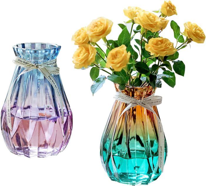 2Pcs Vases En Verre Pour Fleurs Petit Vase Pour Décoration De Table ...