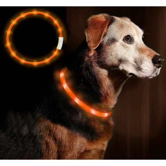 Collier Chien LED Lumineux Rechargeable LED Clignotant Collier de ...