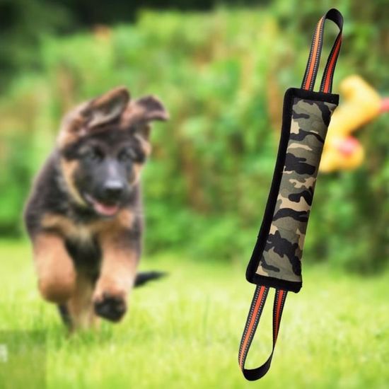 Dog Bite Stick with 2 Handles Teeth Grinding Dog Training Stick Pet Dog ...