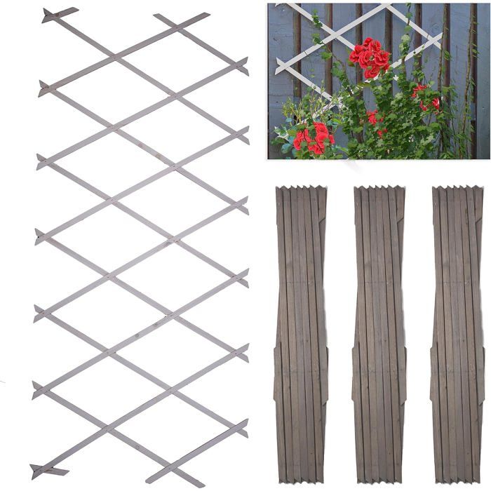 DIVCHI Treillis mural extensible eois pour plantes grimpantes ...