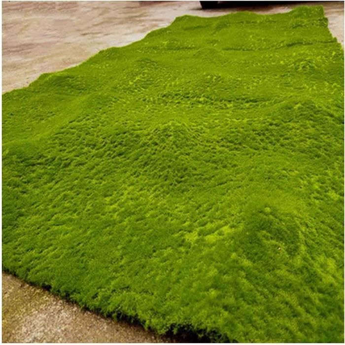 1x1m Tapis mousse Artificielle mousse Artificielle Tapis Gazon ...
