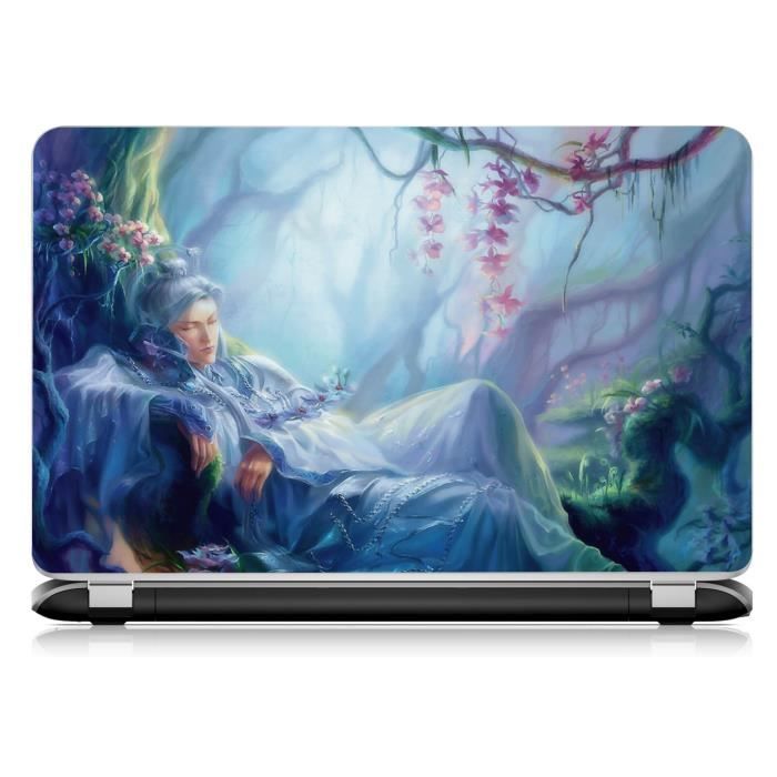 Stickers Autocollants ordinateur portable PC fantaisie ref 526 ...