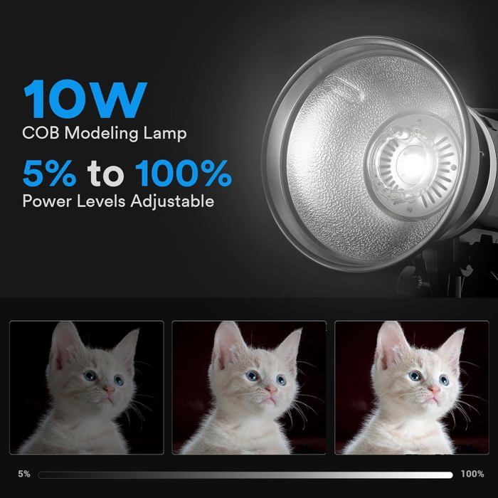 Flash de Studio Godox MS300-V 300W Portable 2.4G avec Lampe LED et ...