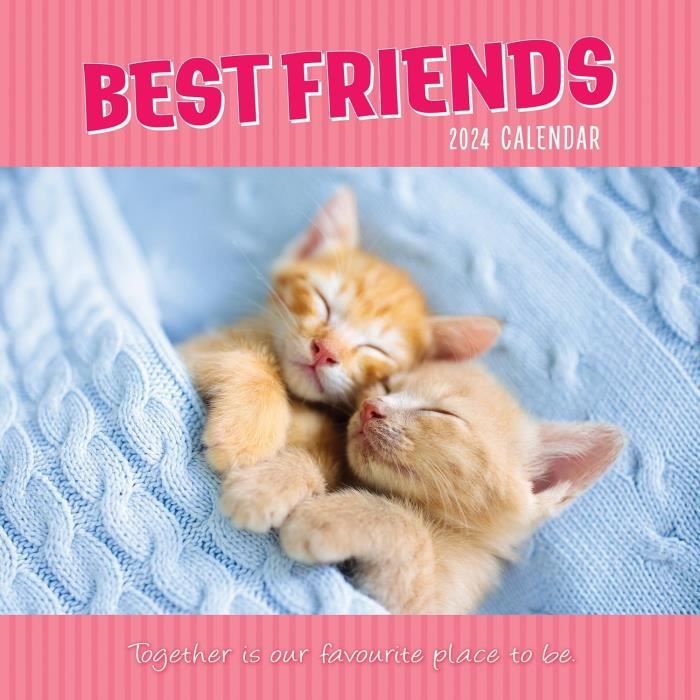 Calendrier Mural 2024 Best Friends | 16 Mois | Calendrier Mensuel 2023 ...