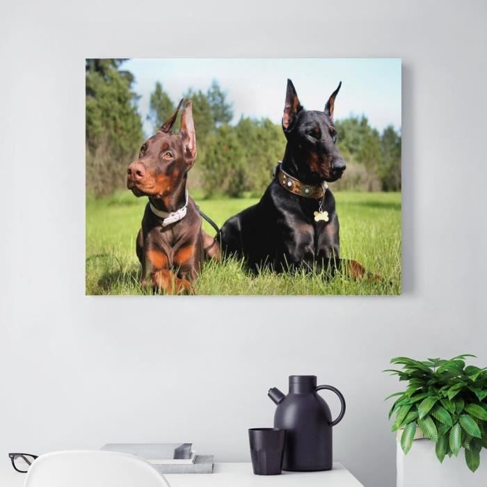 5D Diamant Peinture Doberman Pinscher Chien Diy Rond Strass Diamants ...