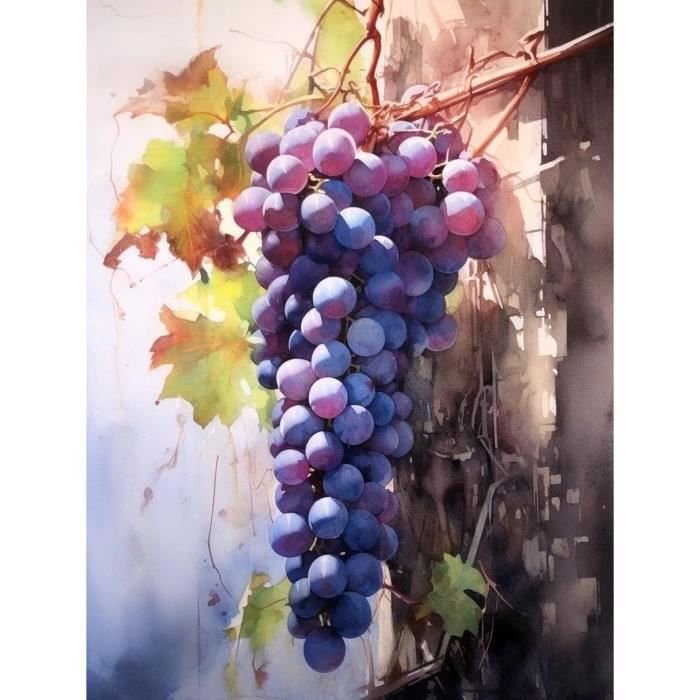 5D Diamond Painting Kit Complet, Raisins Sur La Vigne Aquarelle, H Kit ...