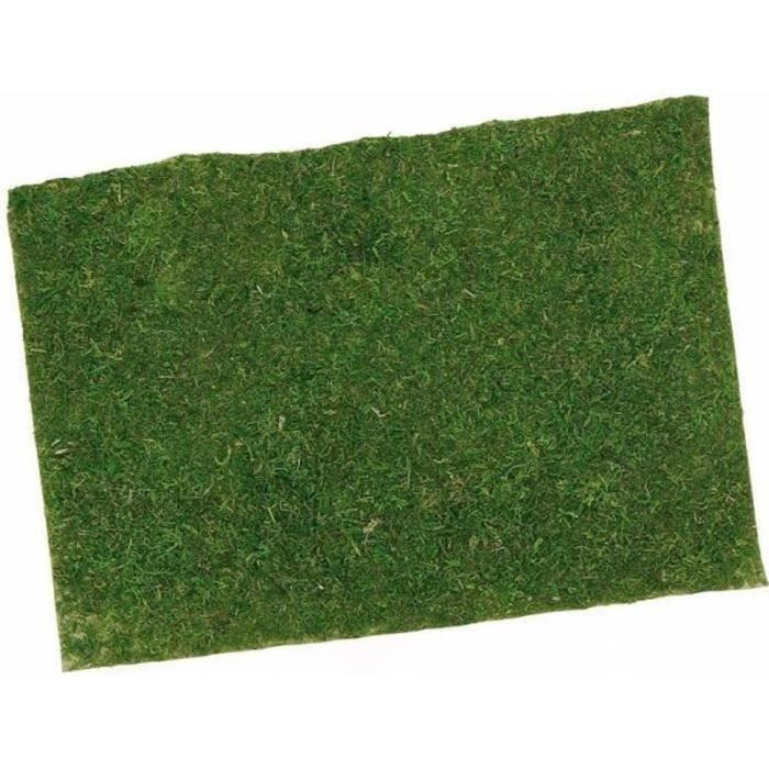 CRECHE DE NOEL Tapis avec texture herbe de Créche 70x50cm environ ...