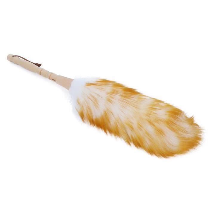 Plumeau de nettoyage antistatique brosse de nettoyage lavable à forte ...
