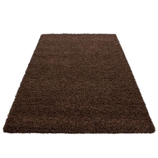 Teppium Tapis shaggy à poils longs unicolore Tapis unicolores pour le salon [Brun, 240 x 340 cm ...
