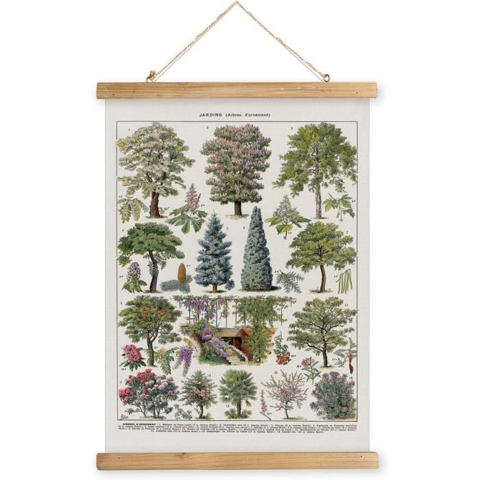 Affiche Botanique Vintage De Jardin - Poster Rétro Des Arbres Et ...