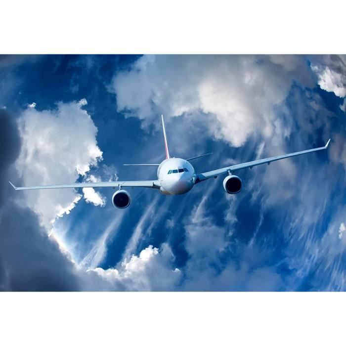 Puzzle 1000 Pièces - Mixte - Avion - 75 x 50 cm - Cadeau Idéal ...