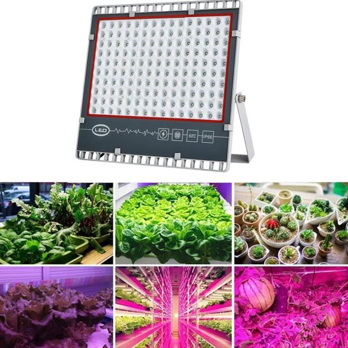 Lampe Horticole LED Full Spectrum 200W pour Plantes d'Intérieur ...