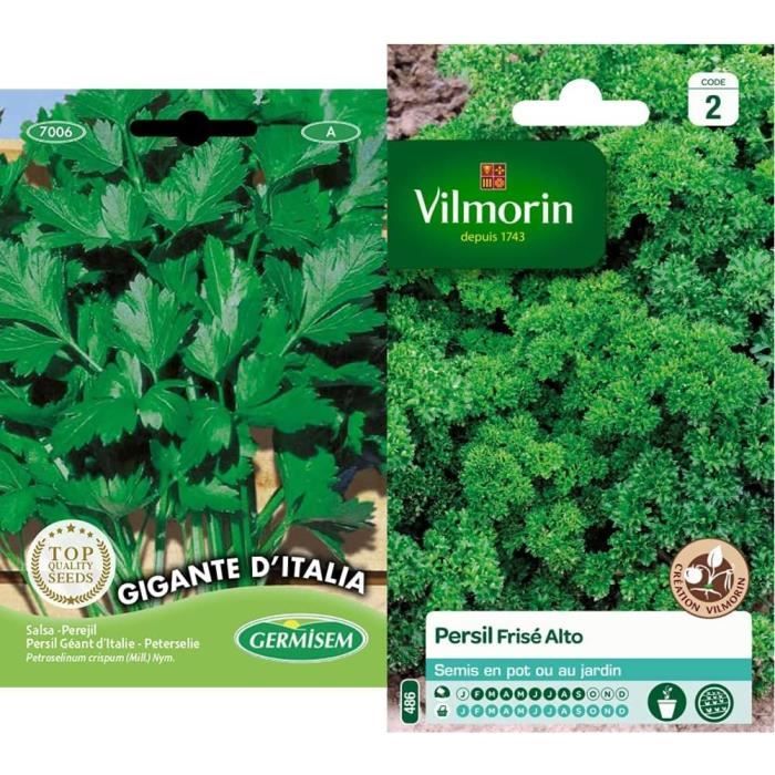 WEYE-Germisem graines Persil Géant d'Italie & Vilmorin 3182670127915 ...