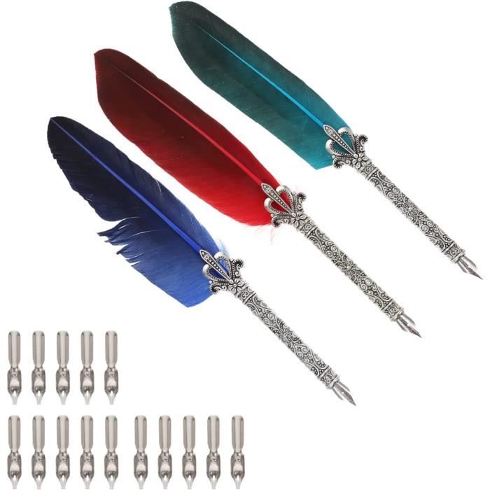 Plumes De Calligraphie : 3 Stylos De Calligraphie Avec 15 Pointes De ...