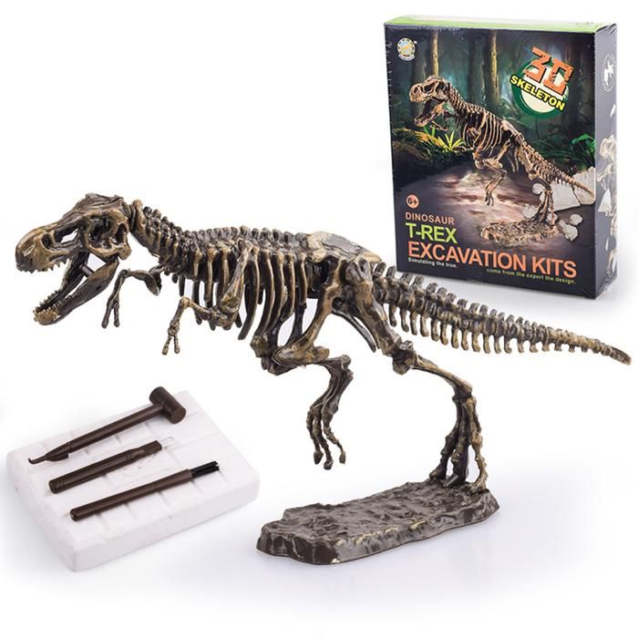 TD® Dinosaure Squelette Excavation Archéologique Jouets Pour Enfants ...