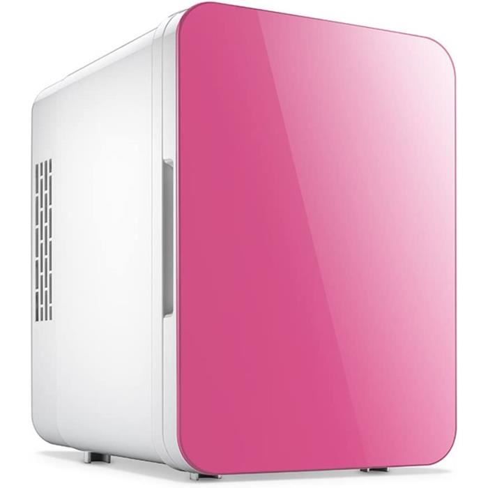 LJ 4L Silent Mini réfrigérateur réfrigérateur et chauffe (Couleur ...