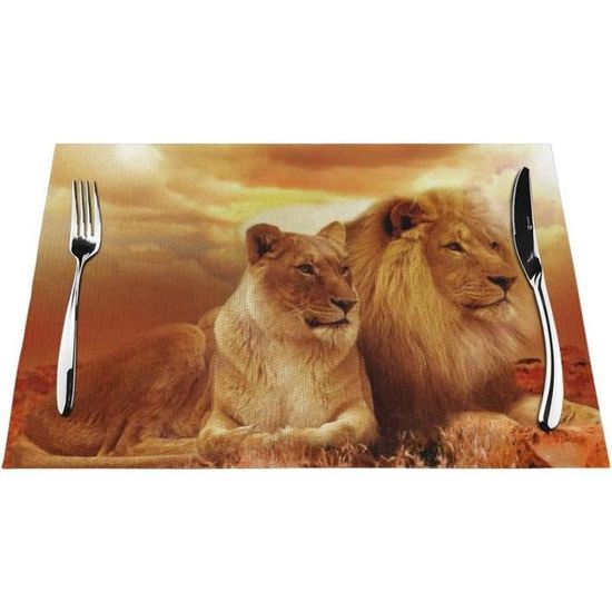 Lot De 6 Sets De Table En Pvc Motif Lion Africain Et Lionne 45 X 30 Cm ...