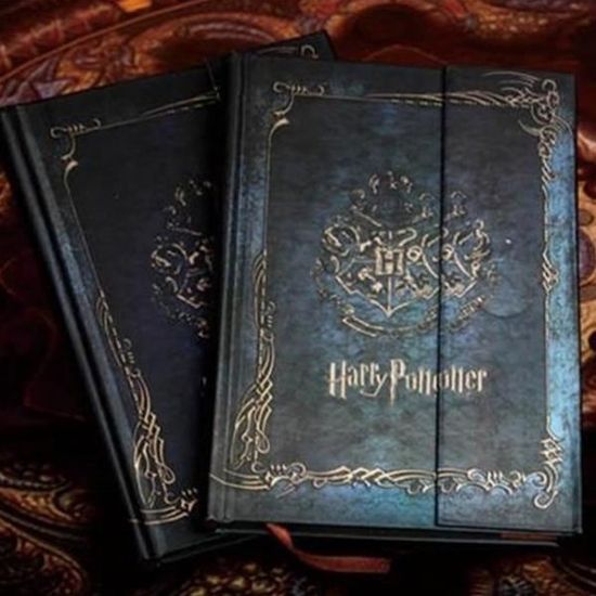 Harry Potter Diary Book - Cdiscount