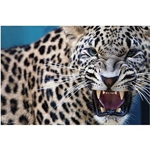 YWF-3423 DIY 5D Diamond Painting Diamond Embroidery Cheetah Full Circle ...