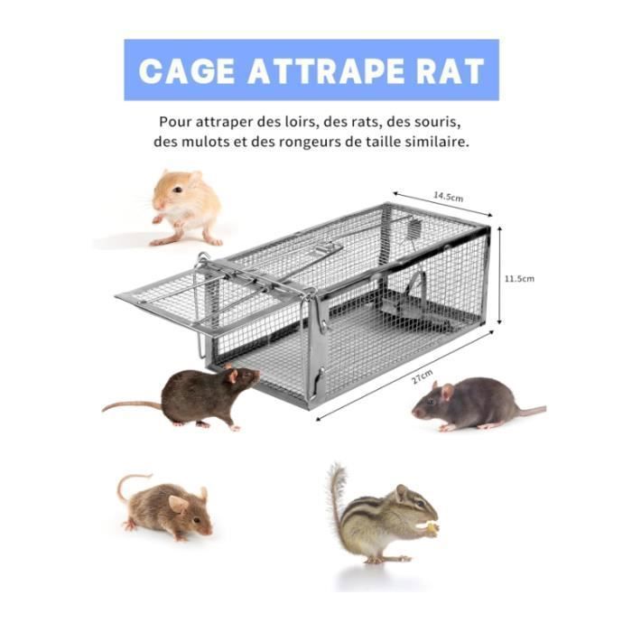 Piege a Rat Cage Attrape Rat 2 Pcs Cage de Capture pour Souris Loir ...