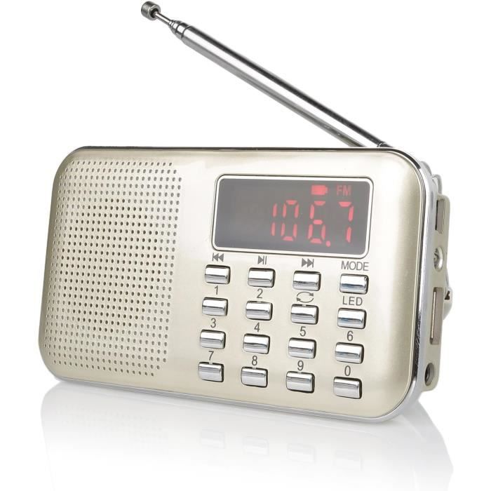 Radio Portable Rechargeable Fm-Am Usb Micro-Sd Et Lecteur Mp3 Int¨¦Gr ...