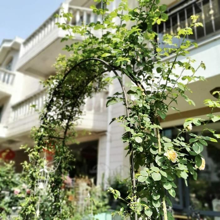 Arche de Jardin en métal, Plantes grimpantes de Roses, Support d'arcade ...