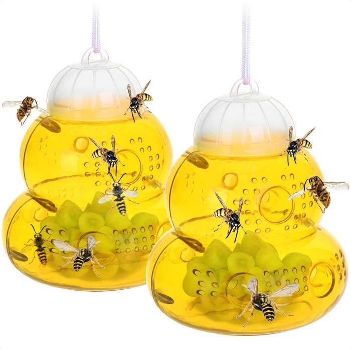 2 Pièges À Insectes Suspendus En Plastique Pour L'Extérieur,Piège ...