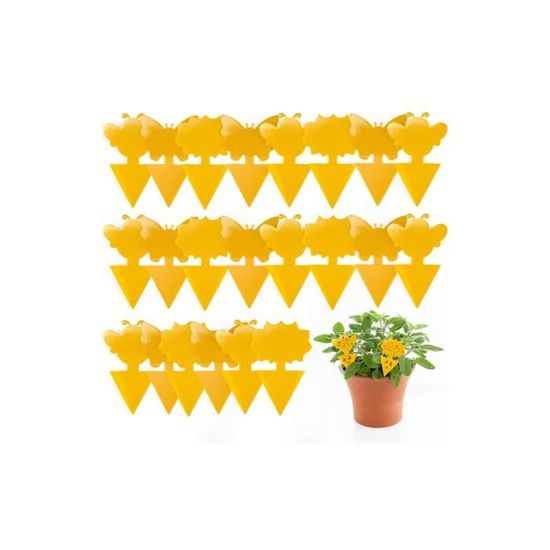 24 Pièces Anti Moucherons Interieur, Pièges à Insectes, Attrape ...