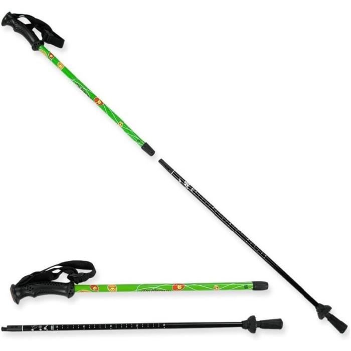 Randonnée Bâton Télescopique Réglable 2 Sections Randonnée Cannes ...