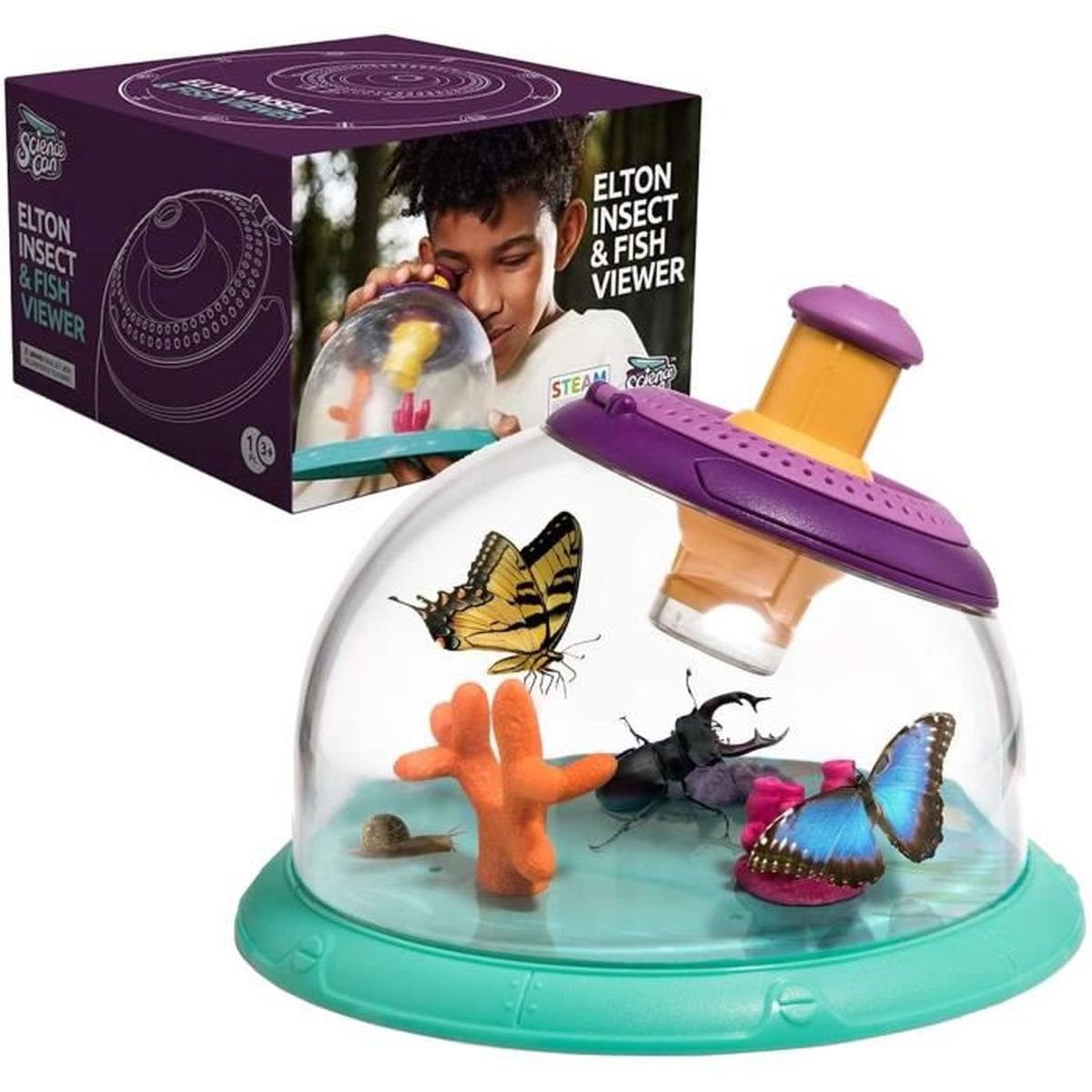 Station d'observation d'insectes ou de poissons en boîte scientifique ...