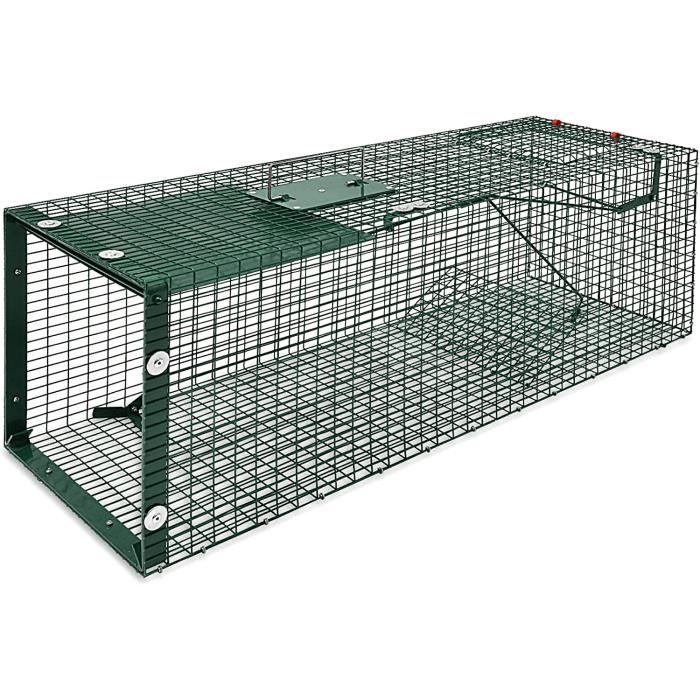 Moorland Piège Vivant 90x30x30cm – Piège de Capture avec 1 Entrée ...
