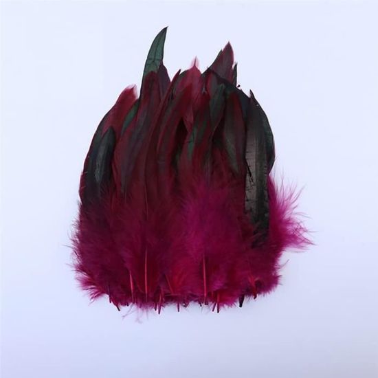 100 Pièces Plumes Colorées 14-20Cm Naturelles Plumes De Faisan Plumes ...
