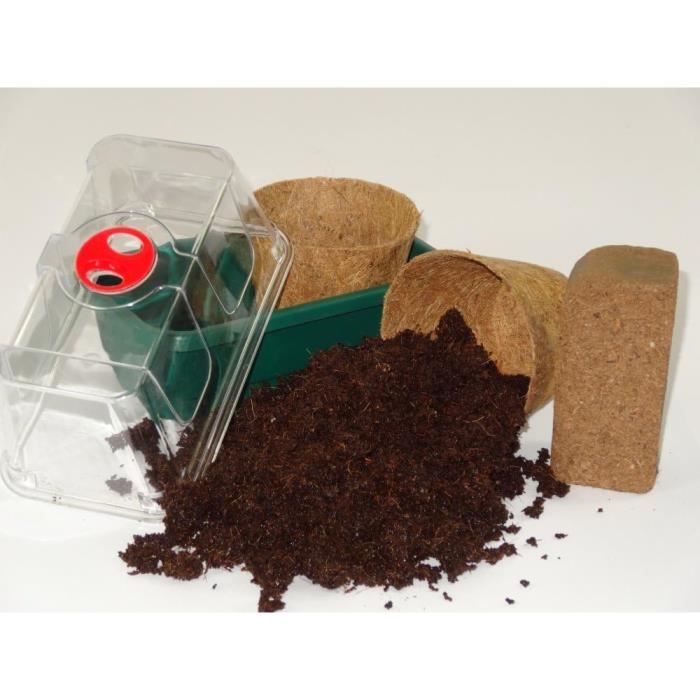 WEYE-Brède mafane - 500 graines - Acmella oleracea[1131] - Cdiscount Jardin