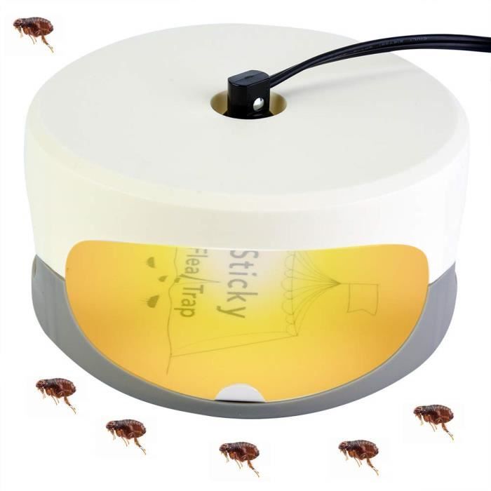 Piège À Puces Non Toxique Pour La Maison, Facile À Utiliser[m4974 ...