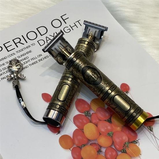 Coiffeur électrique professionnel tondeuse à cheveux Rechargeable ...