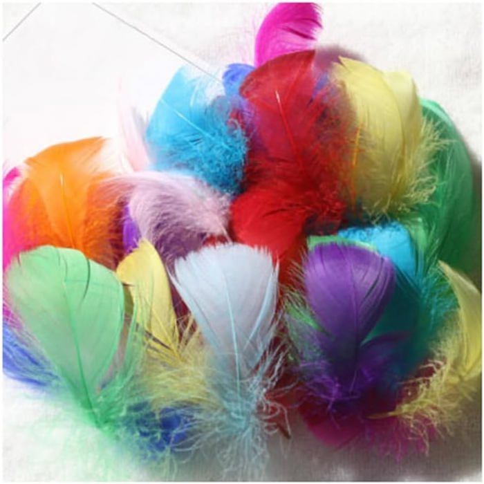 Lot de 100 plumes colorées naturelles artisanales - Plumes d'oie ...