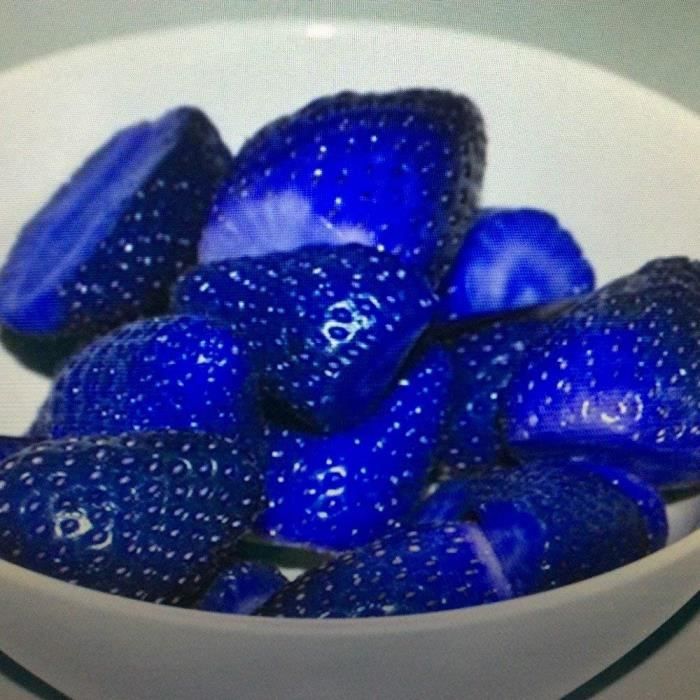 Graine de fraise bleu 500 pcs - Cdiscount Jardin