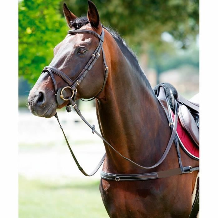 Collier de chasse pour cheval élastique avec col amovible Tattini ...