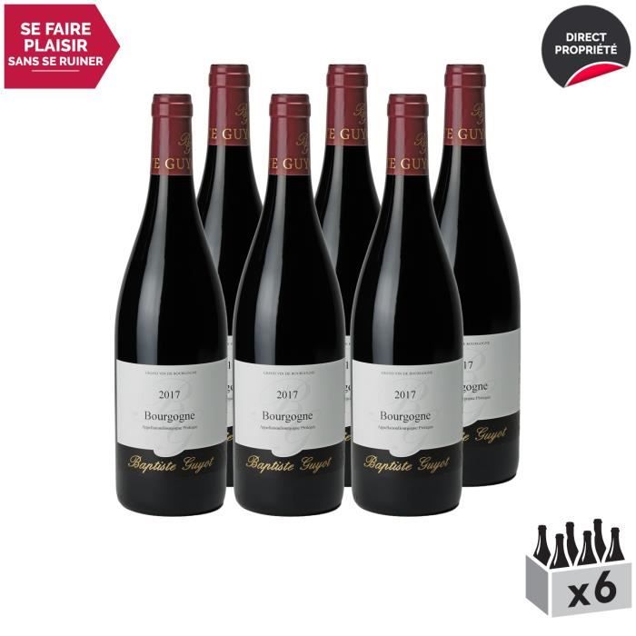 Bourgogne Rouge 2017 - Lot de 6x75cl - Domaine Baptiste Guyot - Vin AOC ...