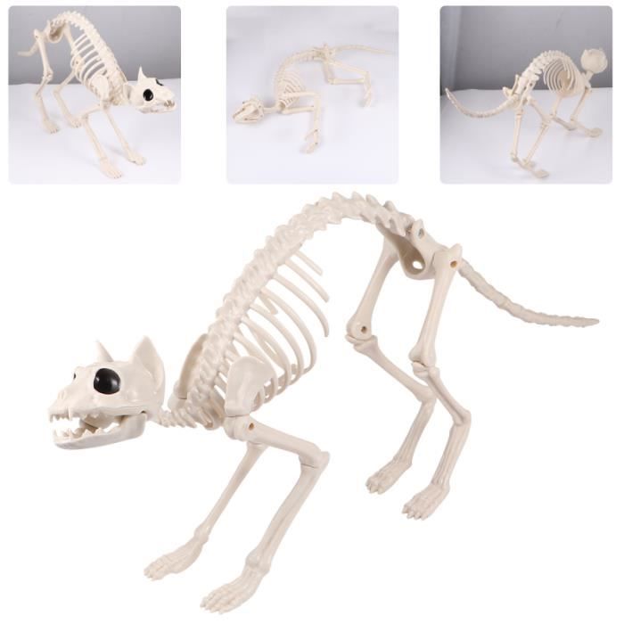 1Pc Creepy Cat Skeleton Spooky Bones Scary in Big Prop Posable for ...