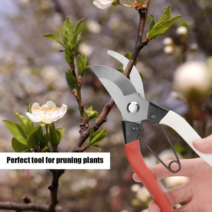 Cadeau-Poignée sécateur manuel jardinage banch arbre fruitier coupe ...