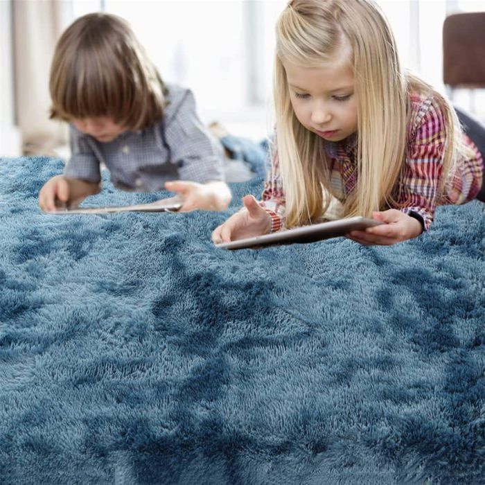 Tapis Moderne Salon Tapis Doux Moelleux À Longs Poils Tapis ...