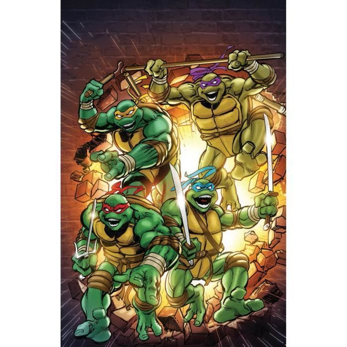 GONT-194 Teenage Mutant Ninja Turtles Diamond Painting, 3D Diy Diamond ...