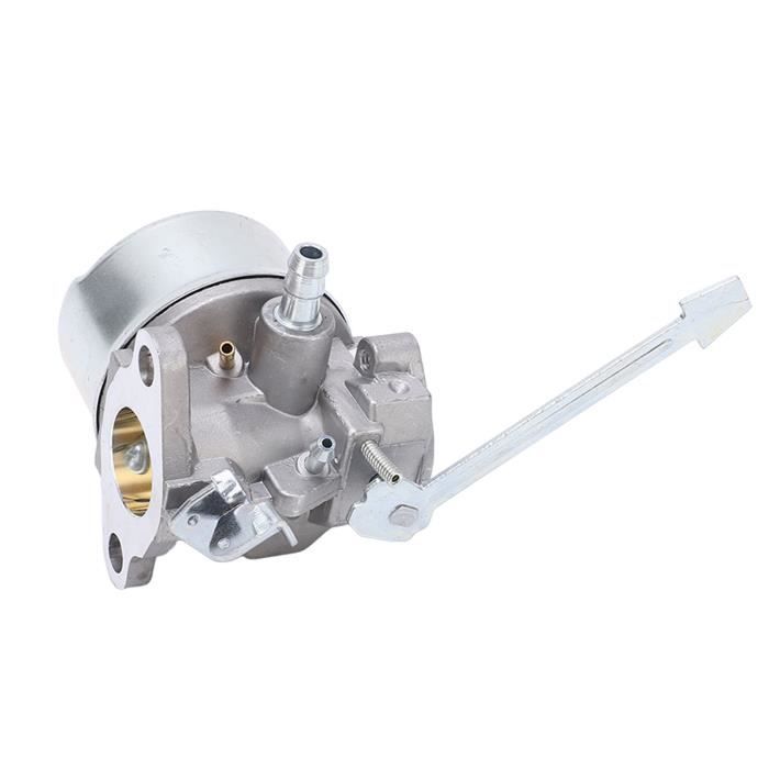 Mothinessto carburateur de moteur Carburateur de souffleuse à neige ...