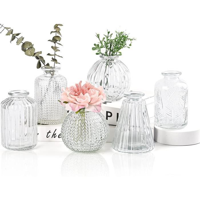 Lot de 6 petits vases pour fleurs ,Vase en verre transparent de ...
