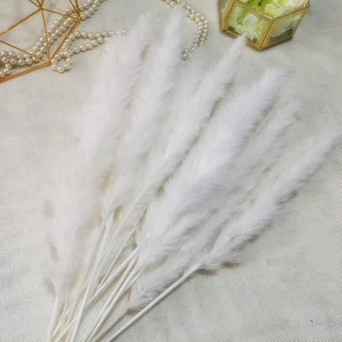 Yongme-blanche - Vrai roseau séché pour décorationherbe naturelle de la ...
